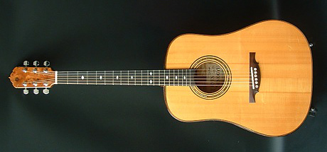 Steel String Guitar Basics – Ervin Somogyi